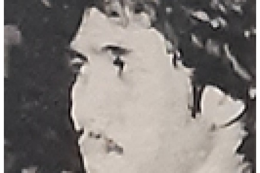 Happy Birthday, Rolando “Rolly” Pineda ( July 21 ) - Gamenatin - Sports ...